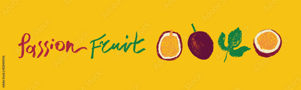 Passion fruit vector drawing in hand drawn style with rough charcoal ...