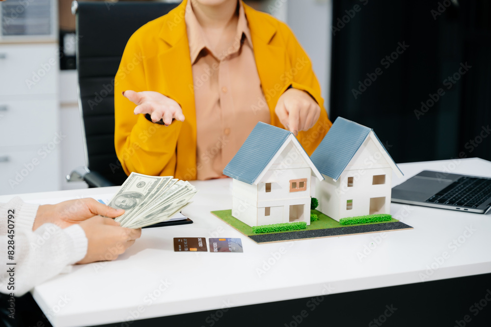 balancing the property sector The real estate agent is explaining the ...