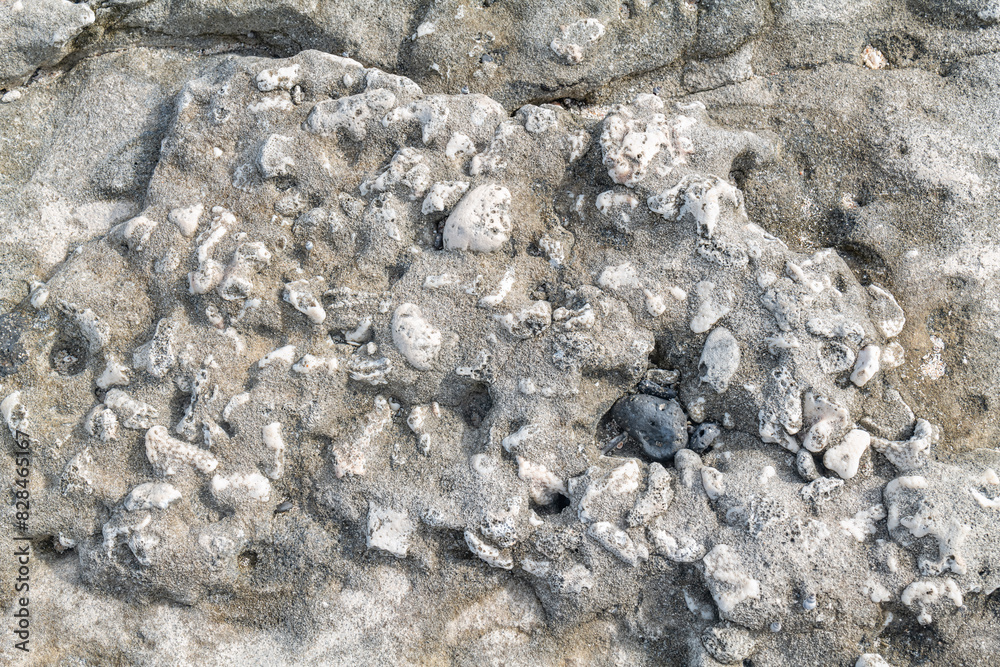 Beachrock is a friable to well-cemented sedimentary rock that consists ...