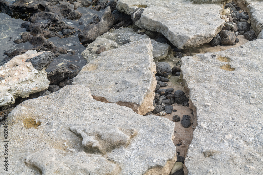 Beachrock is a friable to well-cemented sedimentary rock that consists ...