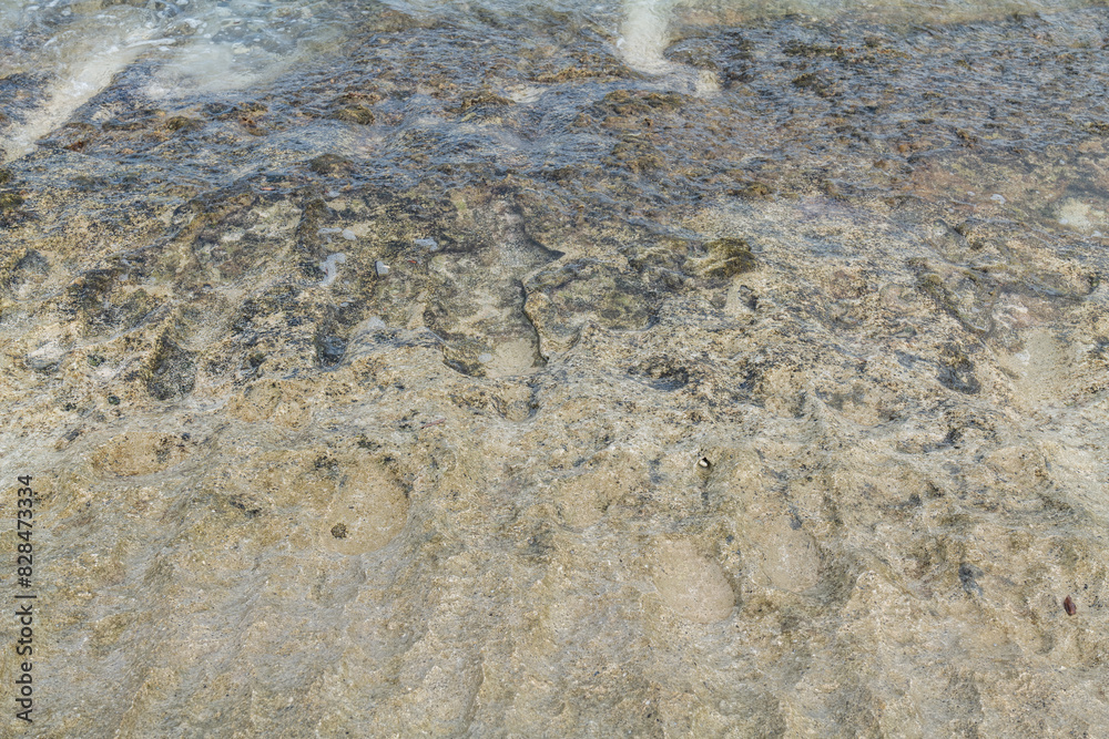 Beachrock is a friable to well-cemented sedimentary rock that consists ...