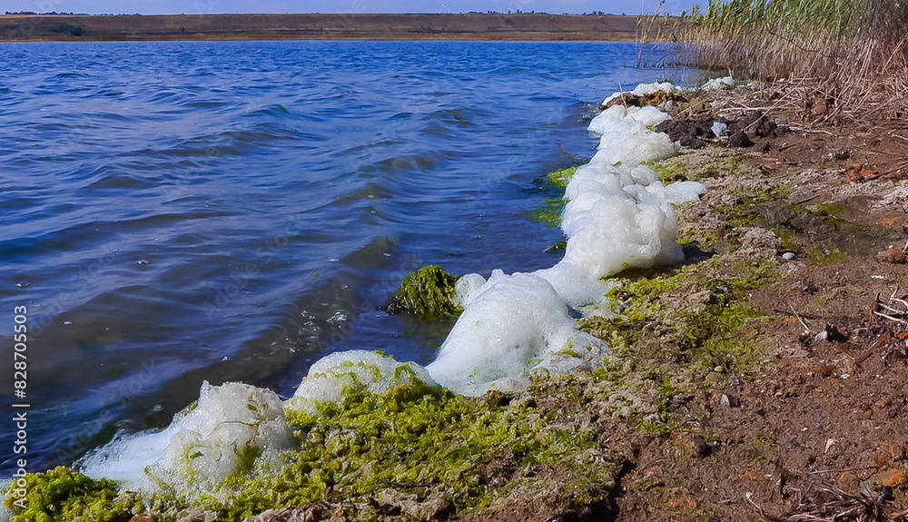 Environmental problem and pollution, eutrophication of a natural ...