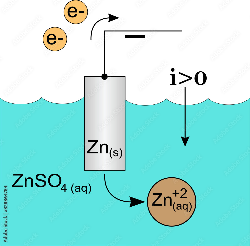 Diagram of a zinc anode in a galvanic cell. Vector illustration Stock ... Diagram of a zinc anode in a galvanic cell. Vector illustration Stock ...