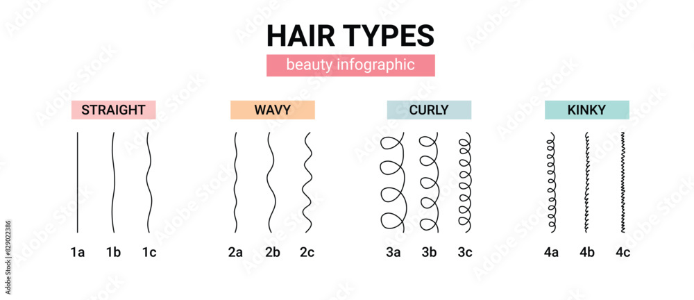 hair types beauty Classification. straight, wavy, curly, kinky. Scheme ...