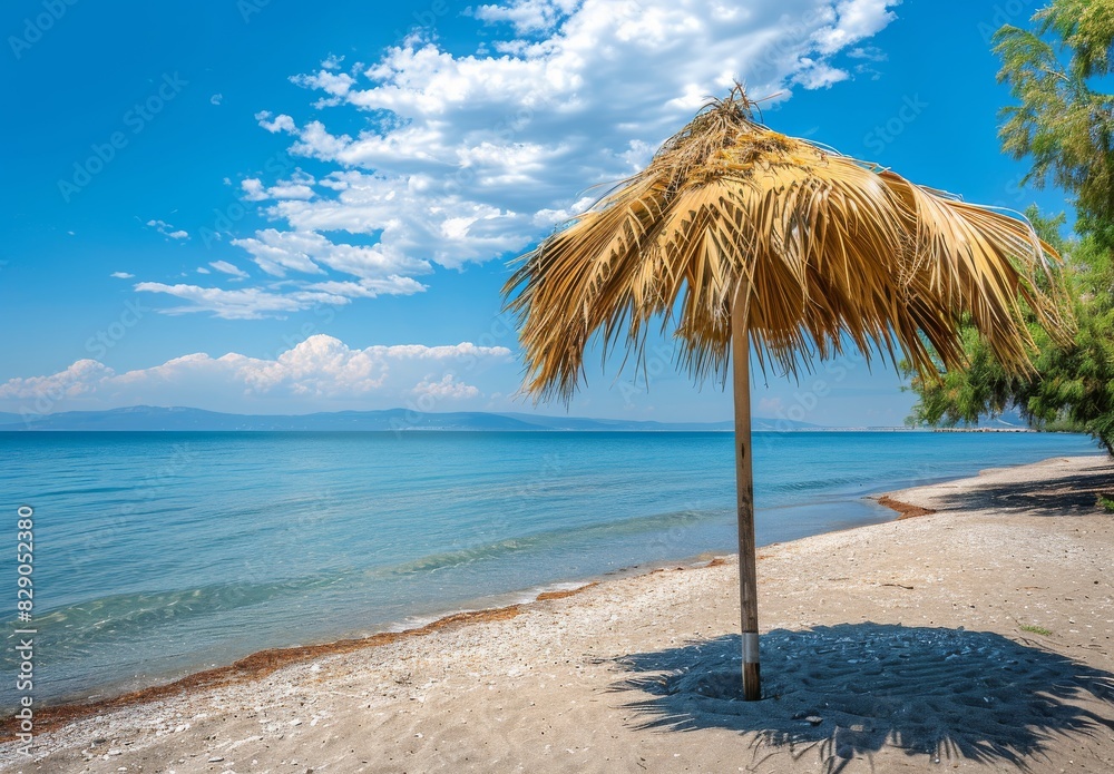 Summer beach: Paralia, Olympic Riviera, Pieria, Greece. Palm parasol ...