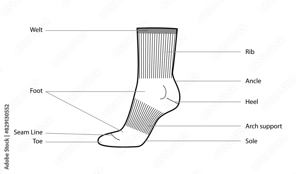 Diagrams of sports sock parts with text names. Hosiery Fashion ...