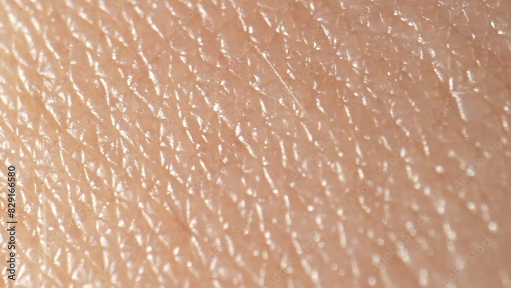 Skin texture can be an indicator of overall health and wellness. Proper ...