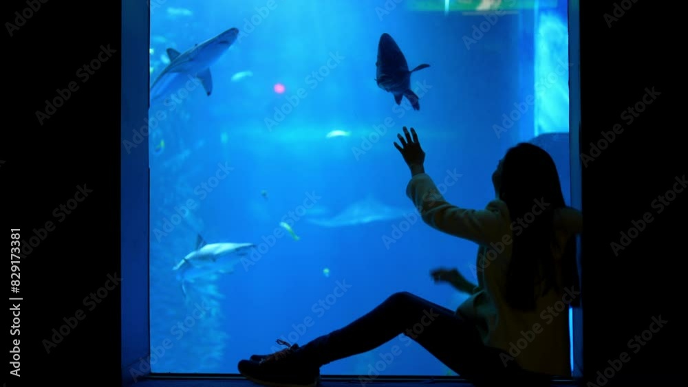 Happy Asian woman looking sea life in fish tank at Underwater Zoo ...