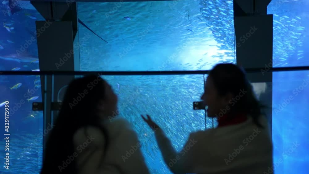 Happy Asian woman friends enjoy looking sea life in fish tank at ...
