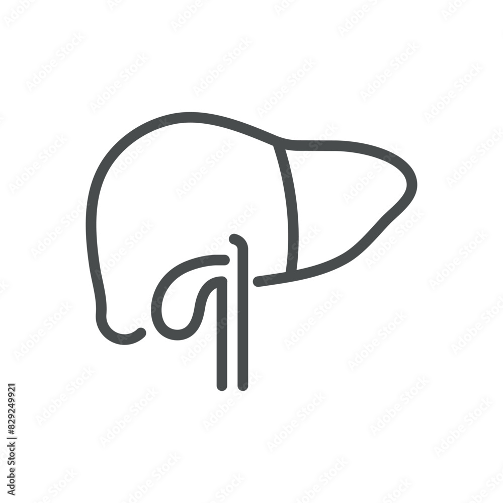 Liver and Gallbladder Icon. Isolated Line Illustration of Human Liver ...