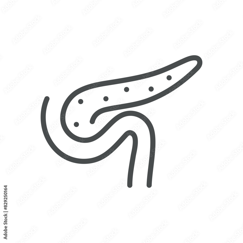 Pancreas Icon. Simple Isolated Line Illustration of Human Pancreas ...