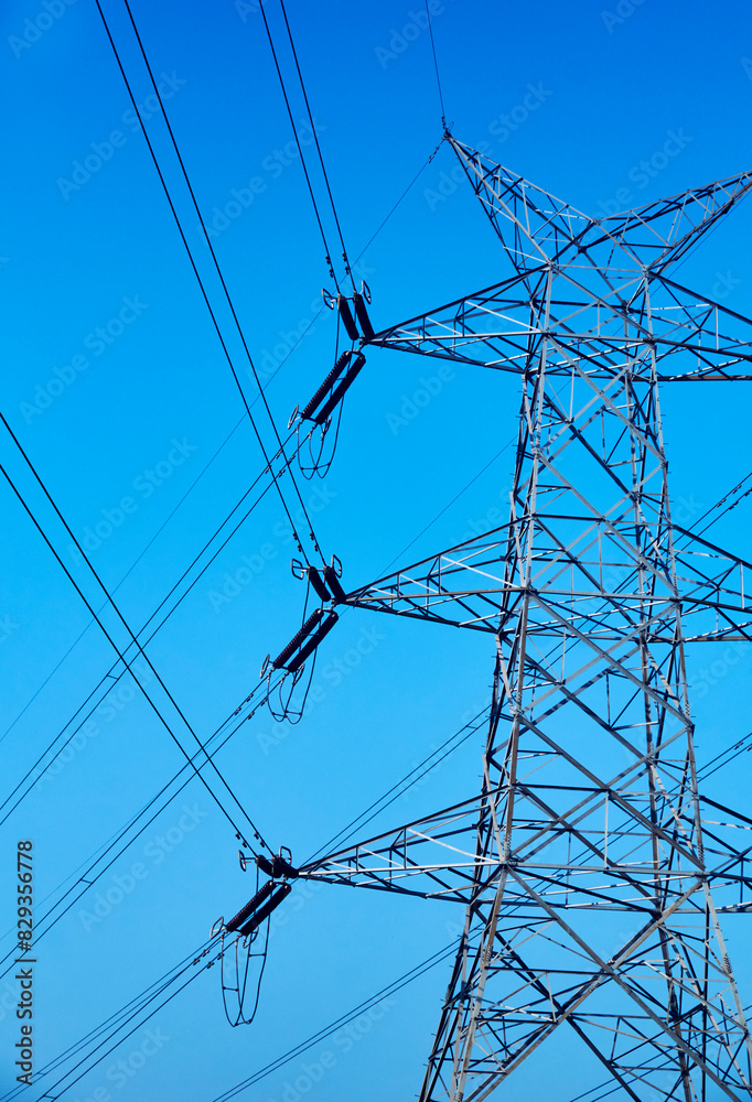 rows of electricity transmission towers across field in Baghmundi ...
