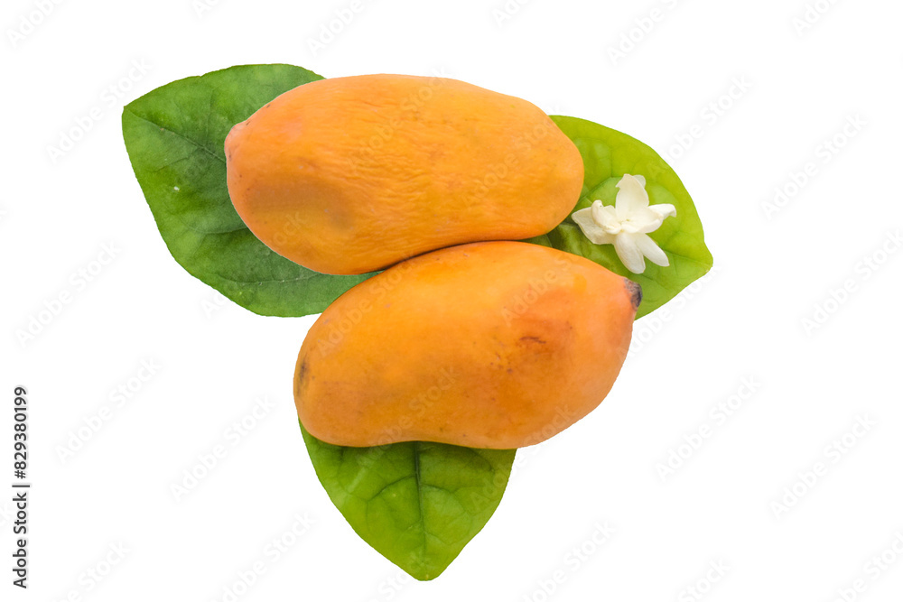 yellow Mango isolated on white background, clipping path, full depth of ...
