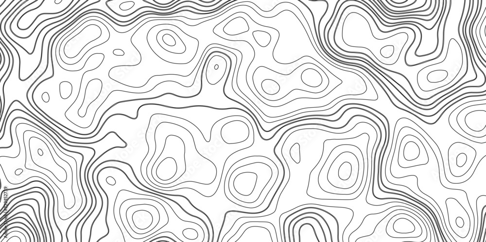 Topographic map background geographic line map with elevation ...