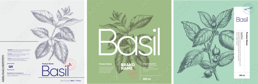 Three elegant labels showcasing basil plant illustrations in an ...