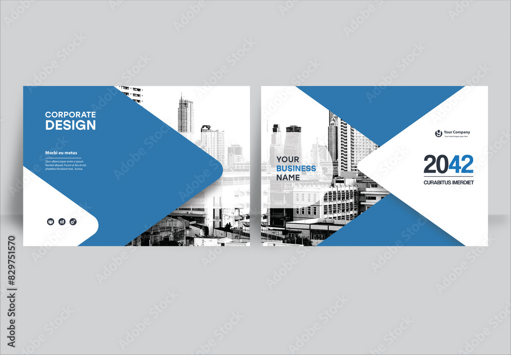 Blue and White Geometric Book Cover Layout Stock Template | Adobe Stock