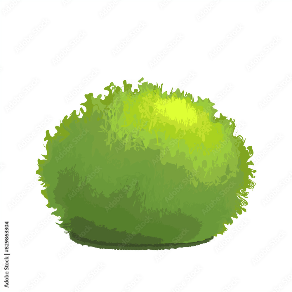Garden green bush of round shape. Ornamental plant shrub for decorate ...