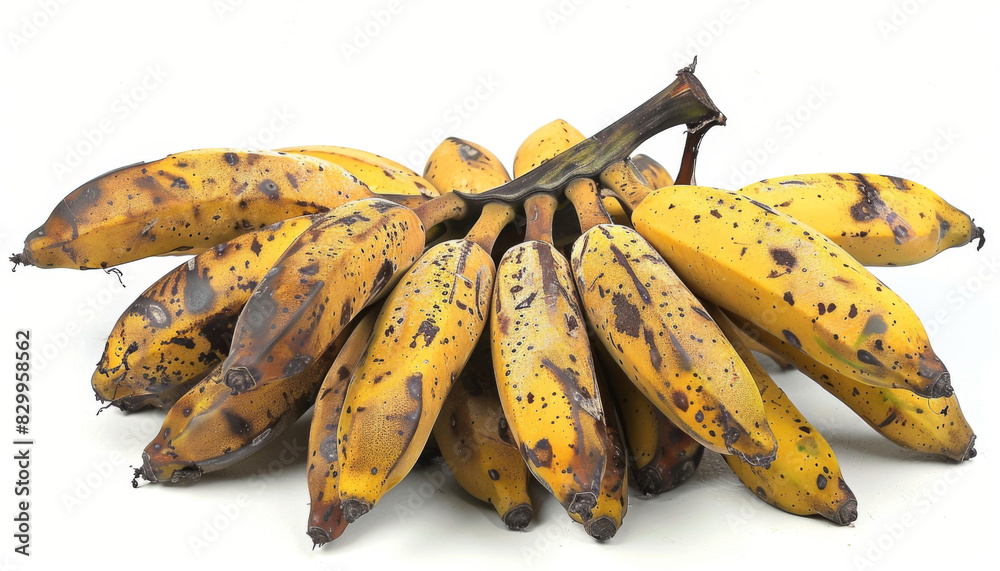 Eye-level angle shot of a cluster of burro bananas, isolated on a pure ...