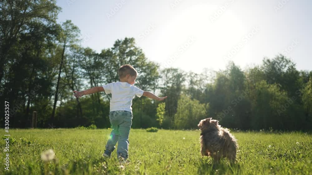 Kid and dog running in park. Happy child playing with pet. Boy and dog ...