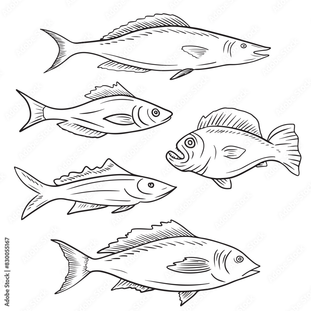 Collection of different kind of fish salmon, milkfish, barracudas, carp ...
