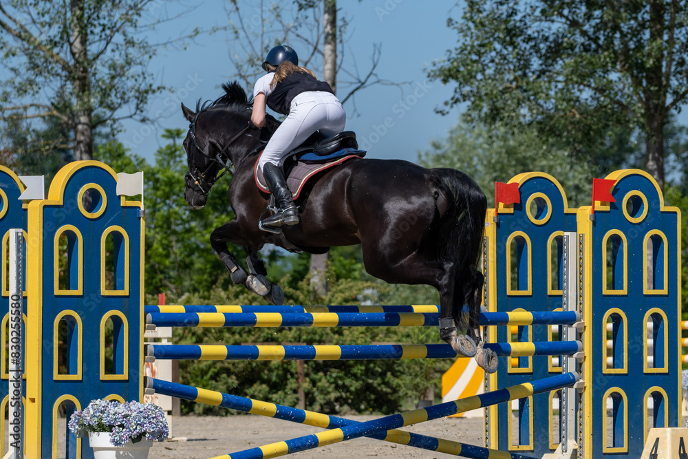Show jumping competition on horseback. Horse Jumping, Equestrian Sports ...