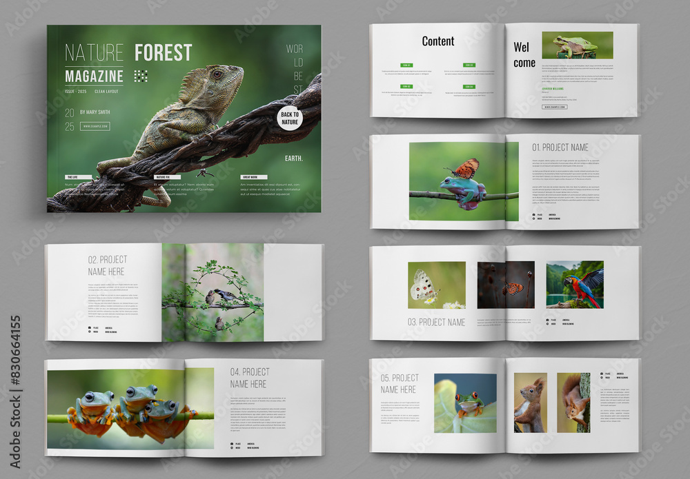 Botanical Magazine Stock Template | Adobe Stock