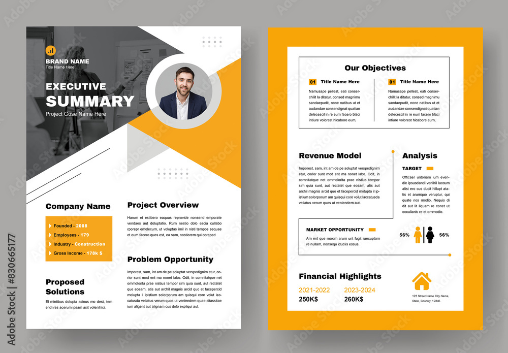 Executive Summary Report Template Stock Template | Adobe Stock