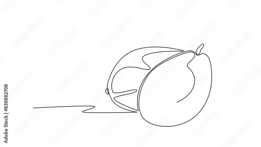 Self drawing animation of single line draw whole and sliced healthy ...
