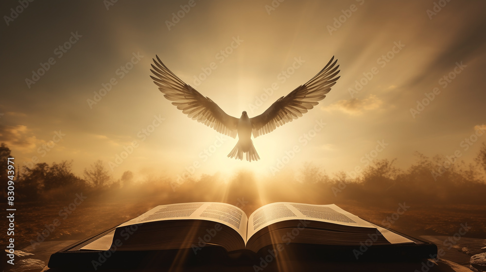 Through learning and faith, the holy book of the Bible illuminates the ...