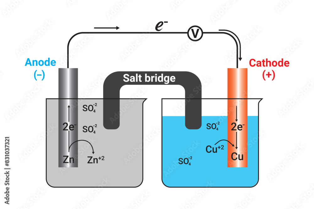 Construction of a Daniel Cell. Simple electrochemical or galvanic cell ...