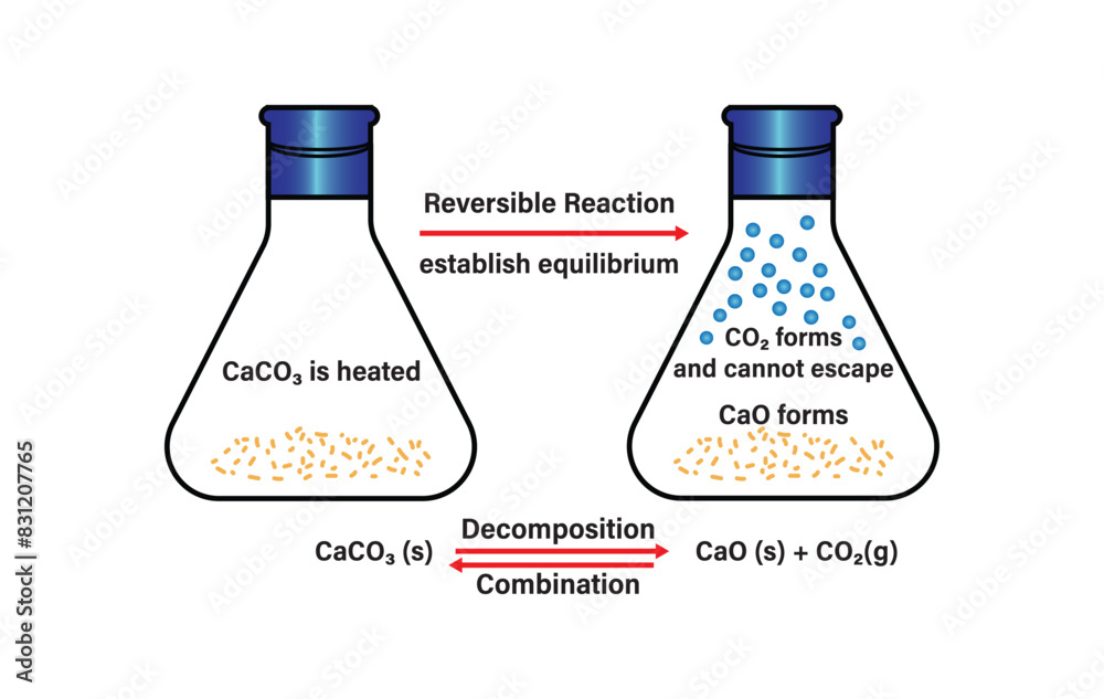 reversible, reactions, vector, presentation, law, graph, chart, growth ...