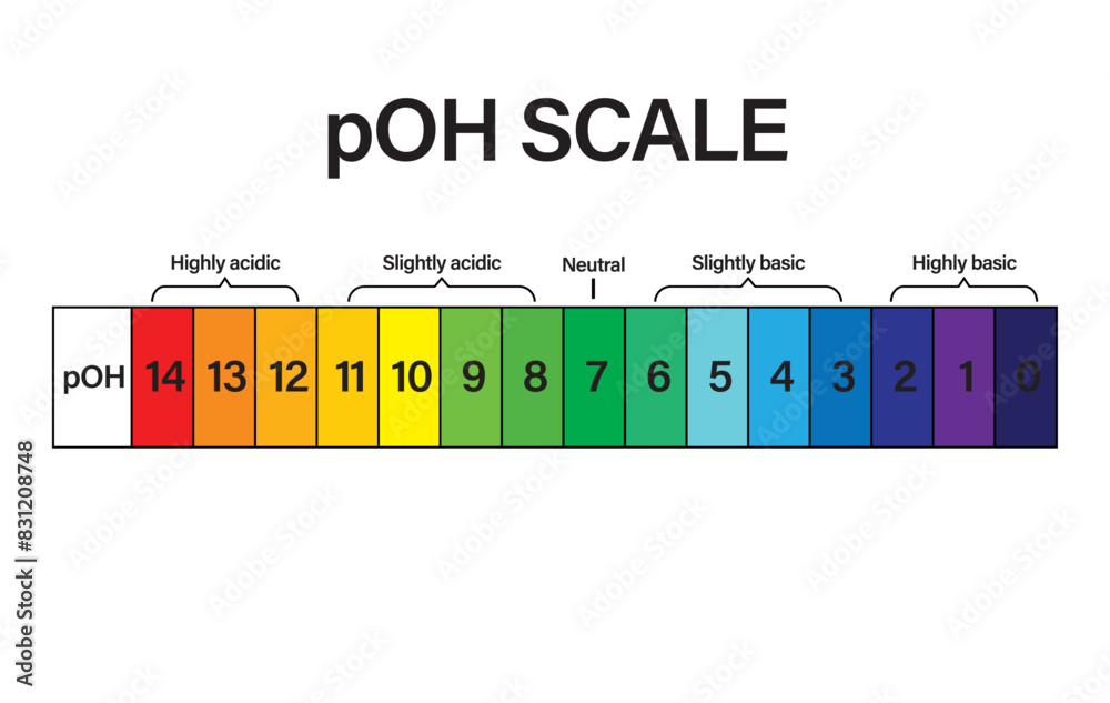 pOH SCALE. pOH scale Vector scientific graph. pOH scale indicator chart ...