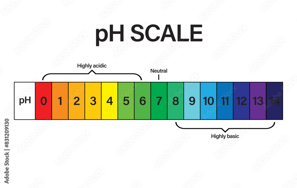 pH SCALE. pH scale Vector scientific graph. pH scale indicator chart ...