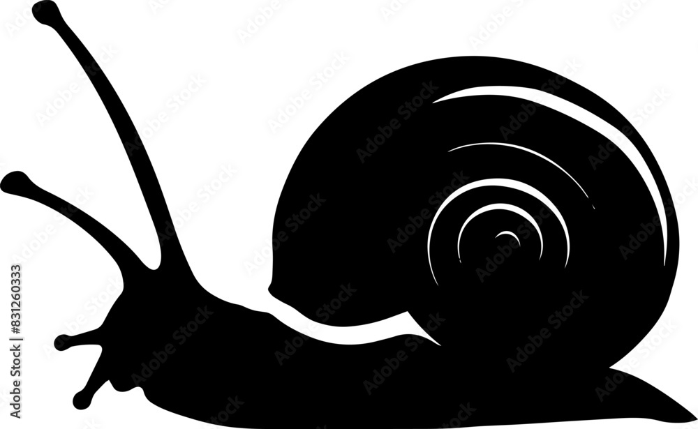 Sign snail. Snail symbol. Isolated black silhouette snail on white ...