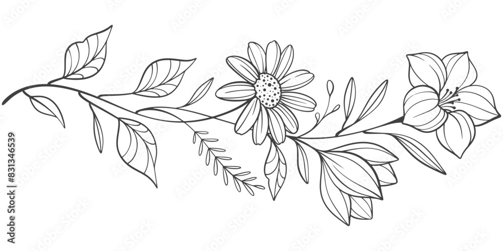 Sketch Floral Botany Collection. flower drawings. Black and white with ...