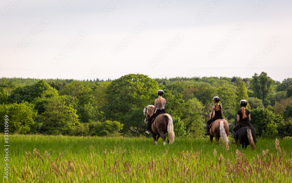 Three girls riding their Welsh cobs through the fields, Image shows the ...