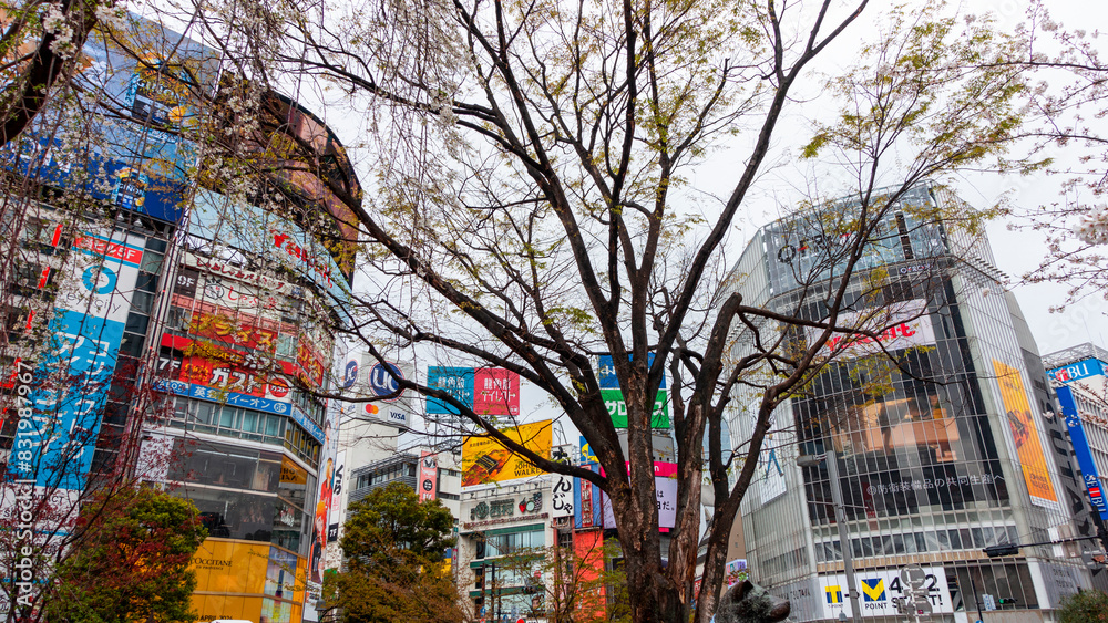 Tokyo, Japan, April 2024: Shibuya, urban building facade with multiple ...