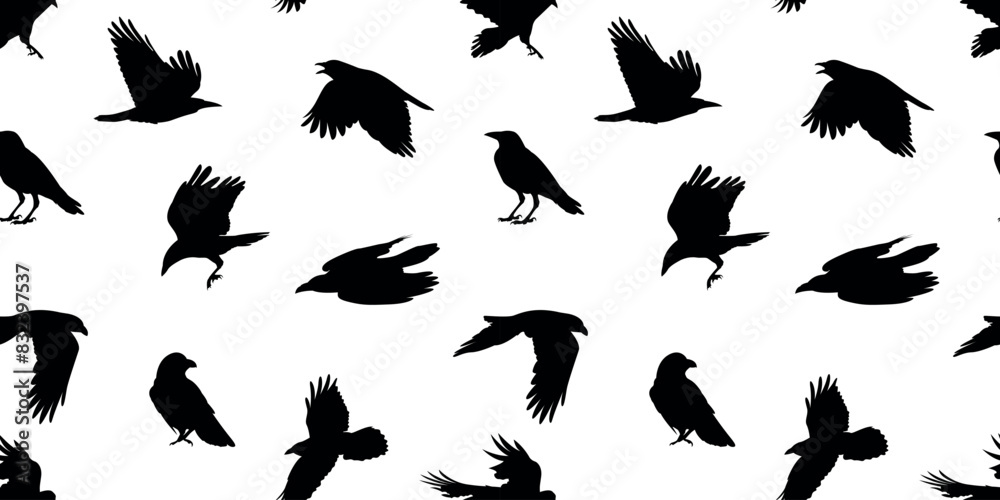 crow. a shadow. the silhouette of a crow. vector. black color. on a ...