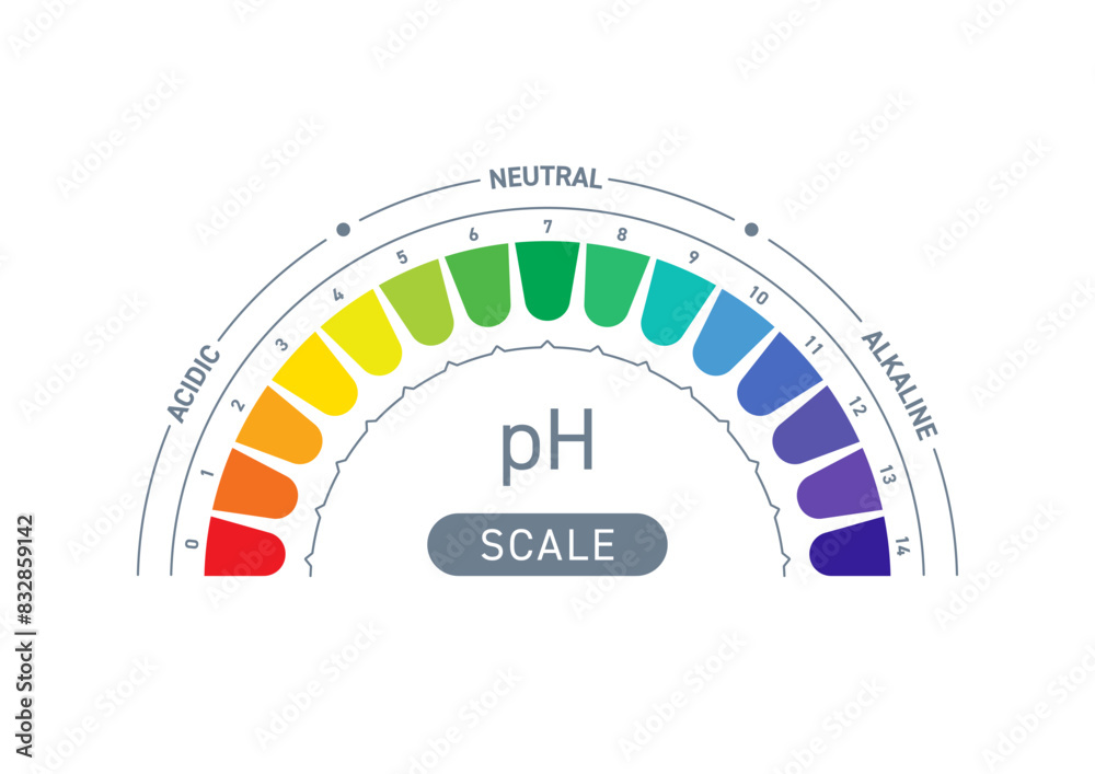 semicircle ph acid base scale. ph values chart. vector acidity ...