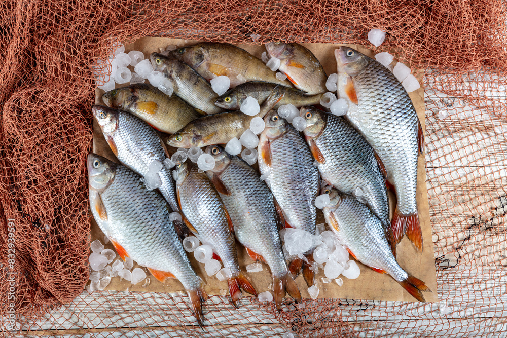 Freshwater fish carp are sold at the fishmonger's stall. Raw Greas carp ...