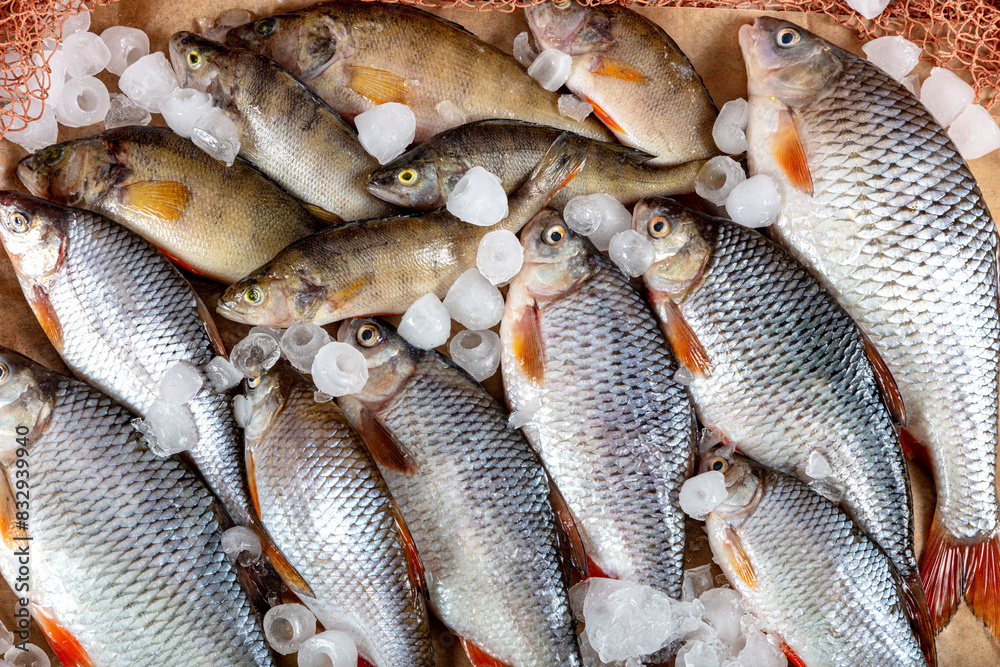 Freshwater fish carp are sold at the fishmonger's stall. Raw Greas carp ...