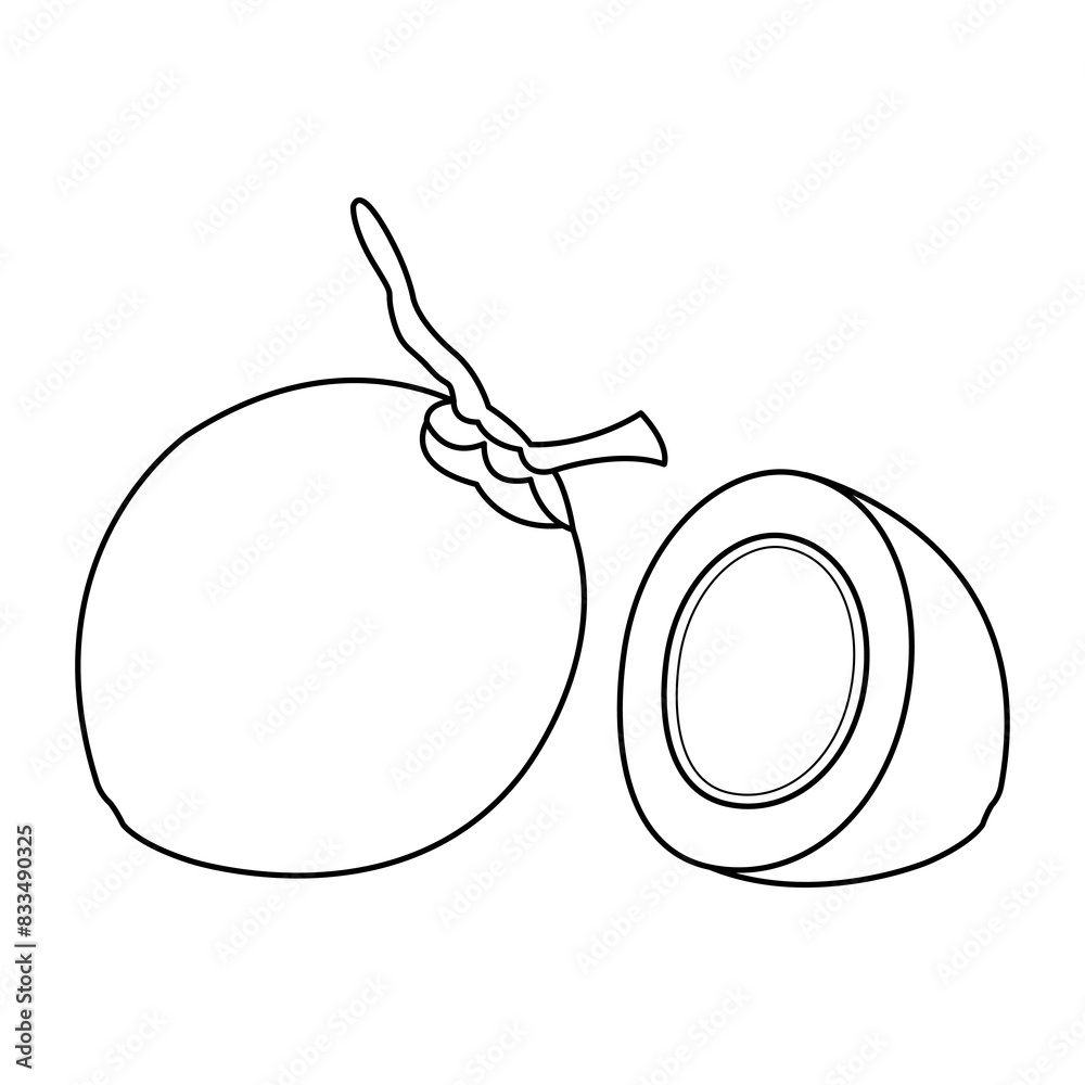 Illustration vector graphic of outline coconut isolated on white ...