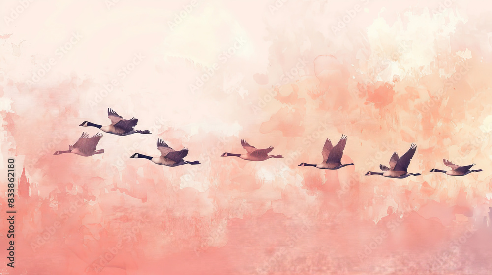 Flock of geese flying in pink sunset sky. Serene image of geese in V ...