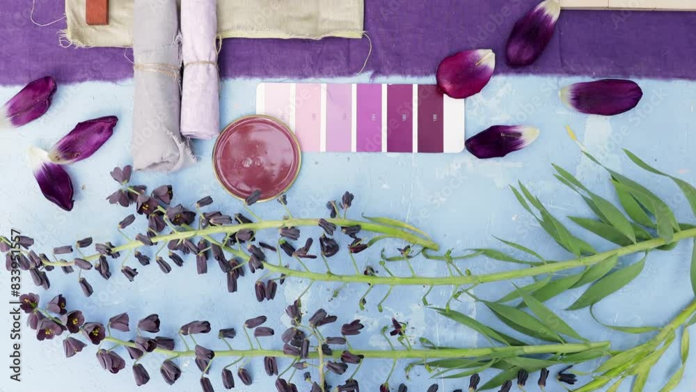 summer floral colour palette, mood board for interior design and ...