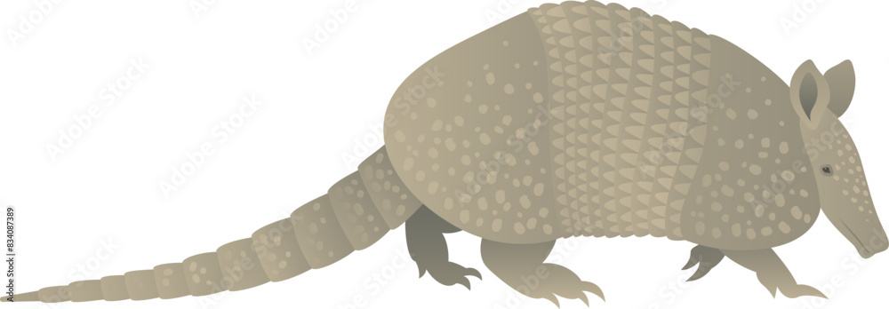 Color vector illustration of walking, running nine-banded or long-nosed ...