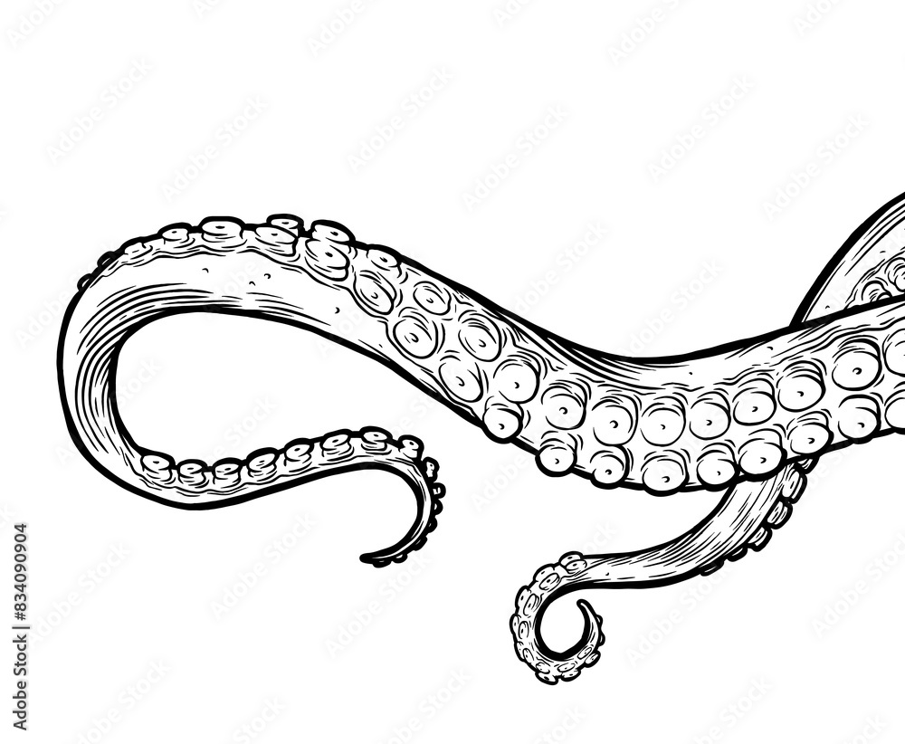 Octopus tentacles reaching upwards, squid-like marine animal body parts ...