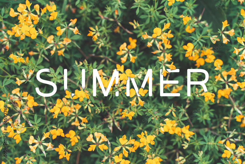 Word Summer hidden in natural green leaves and yellow flowers Stock ...