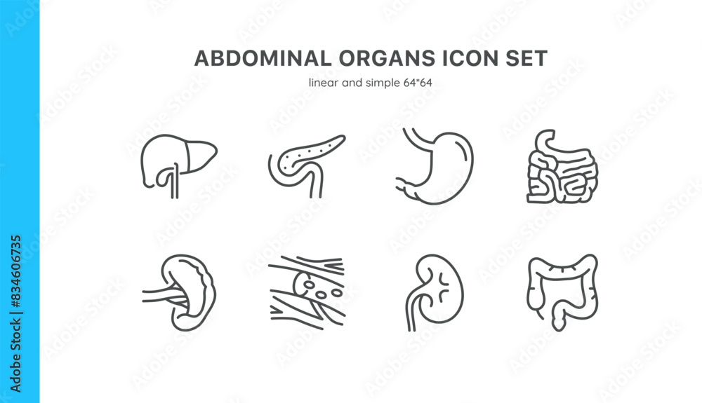 Abdominal Organs Icons Set. Isolated Illustrations of Liver, Pancreas ...