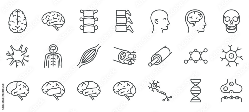 Human Nervous System Icons Set. Illustrations of Brain, Spinal Cord ...