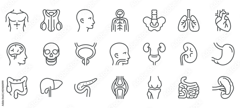 Man Body Organs and Parts Icon Set. Thin Line Illustrations of Male ...